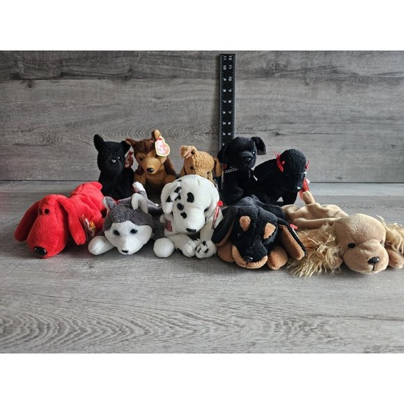 Ty | Toys | Vintage Beanie Baby Plush Lot Dogs Puppies Poodle Lab Husky ...